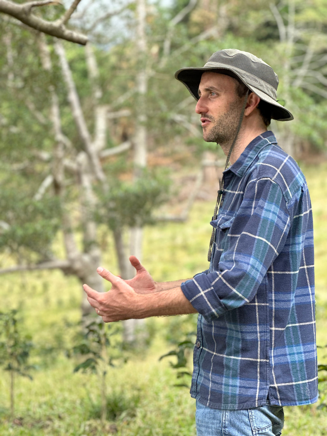 Espresso Lab Microroasters